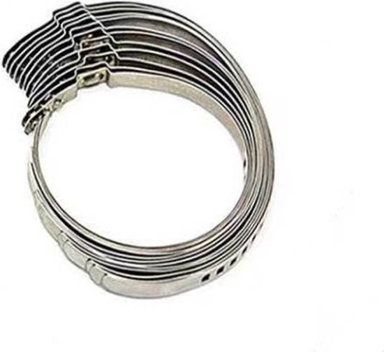 WiseGoods Premium RVS Klemmen - Buisklem Set - Slang Clip - Slangklem ...