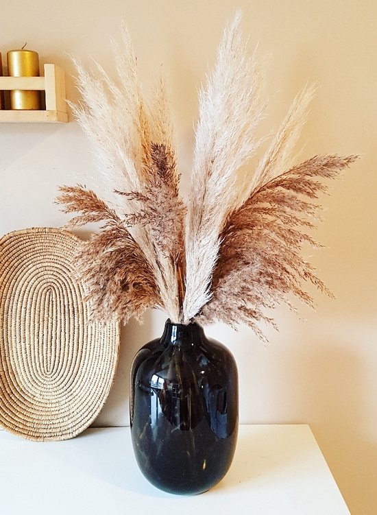 Pampas pluimen Met Vaas - Cheetah vaasje 18 cm hoog - Zwart ...