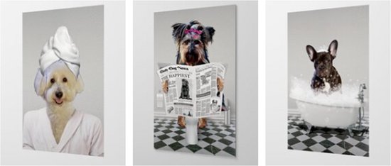 3 stuks posters grappige print honden | bol