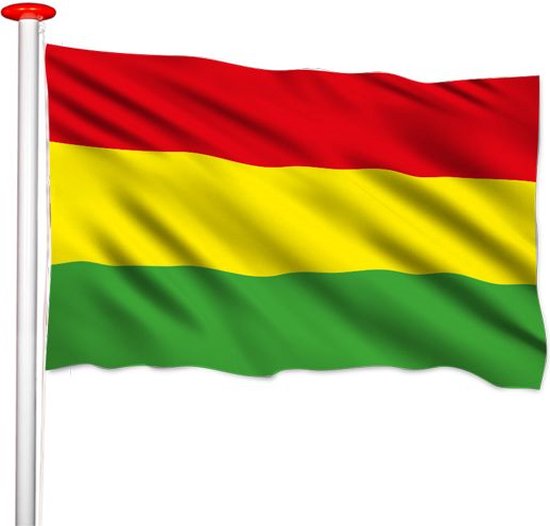 Carnaval mega gevelvlag rood-geel-groen XXL 225 x 150 cm met koord en ...