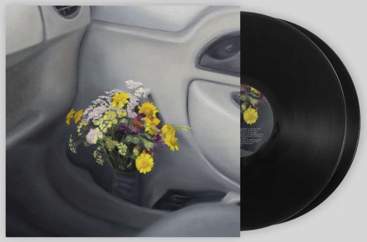 Lander Gyselinck & Zwangere Guy - Pourriture Noble (2 LP), Lander ...
