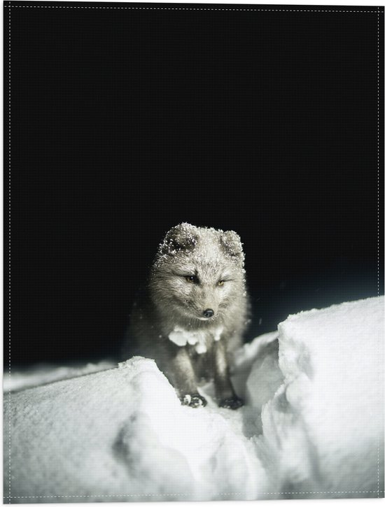 WallClassics - Vlag - Grijze Vos in de Sneeuw - Poolvos - 30x40 cm Foto ...