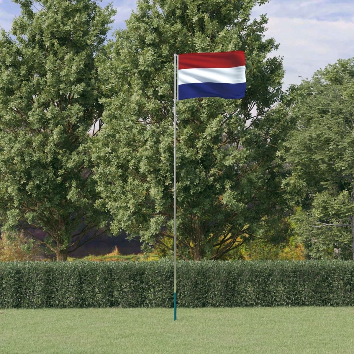 vidaXL Vlag met vlaggenmast Nederland 5,55 m aluminium | bol.com