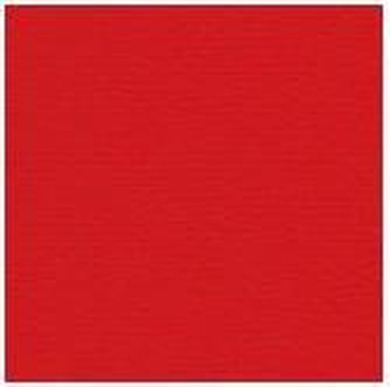 Papicolor Papier A4 rood 105gr-CV 12 vel 300918 - 210x297mm | bol.com