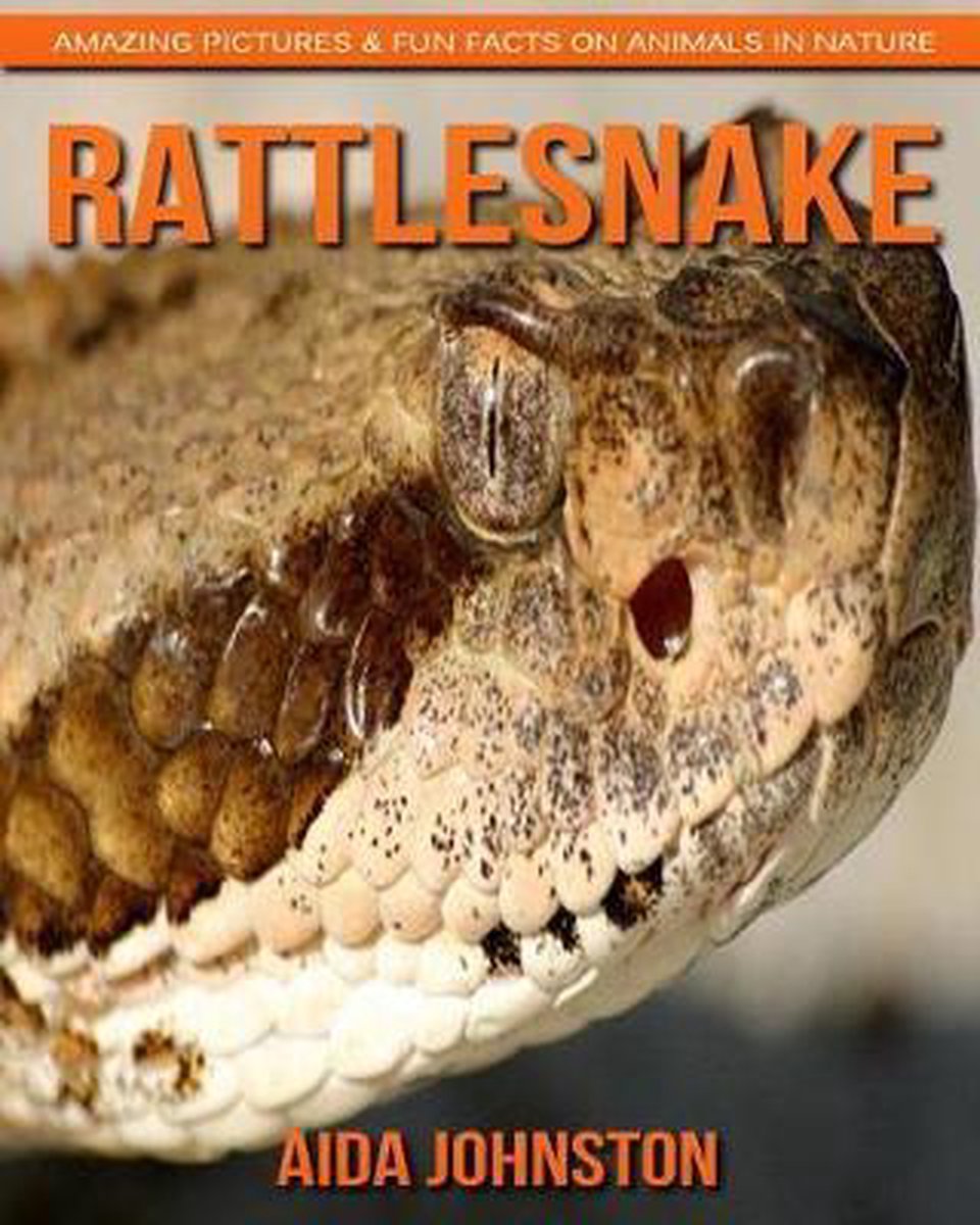 Rattlesnake, Aida Johnston | 9781519055101 | Boeken | bol