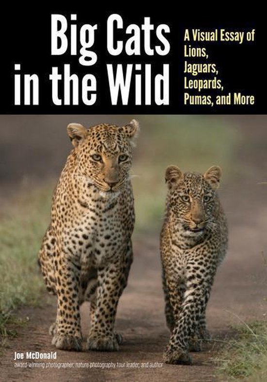 Big Cats in The Wild (ebook), Joe Mcdonald | 9781682033258 | Boeken ...