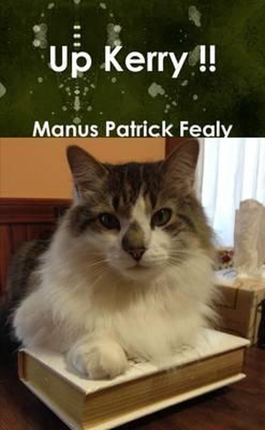 Up Kerry !! | 9781304874450 | Manus Patrick Fealy | Boeken | bol.com