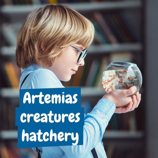 Science4you Jurassic Creatures voor kinderen 6+ - Kweek prehistorische ...