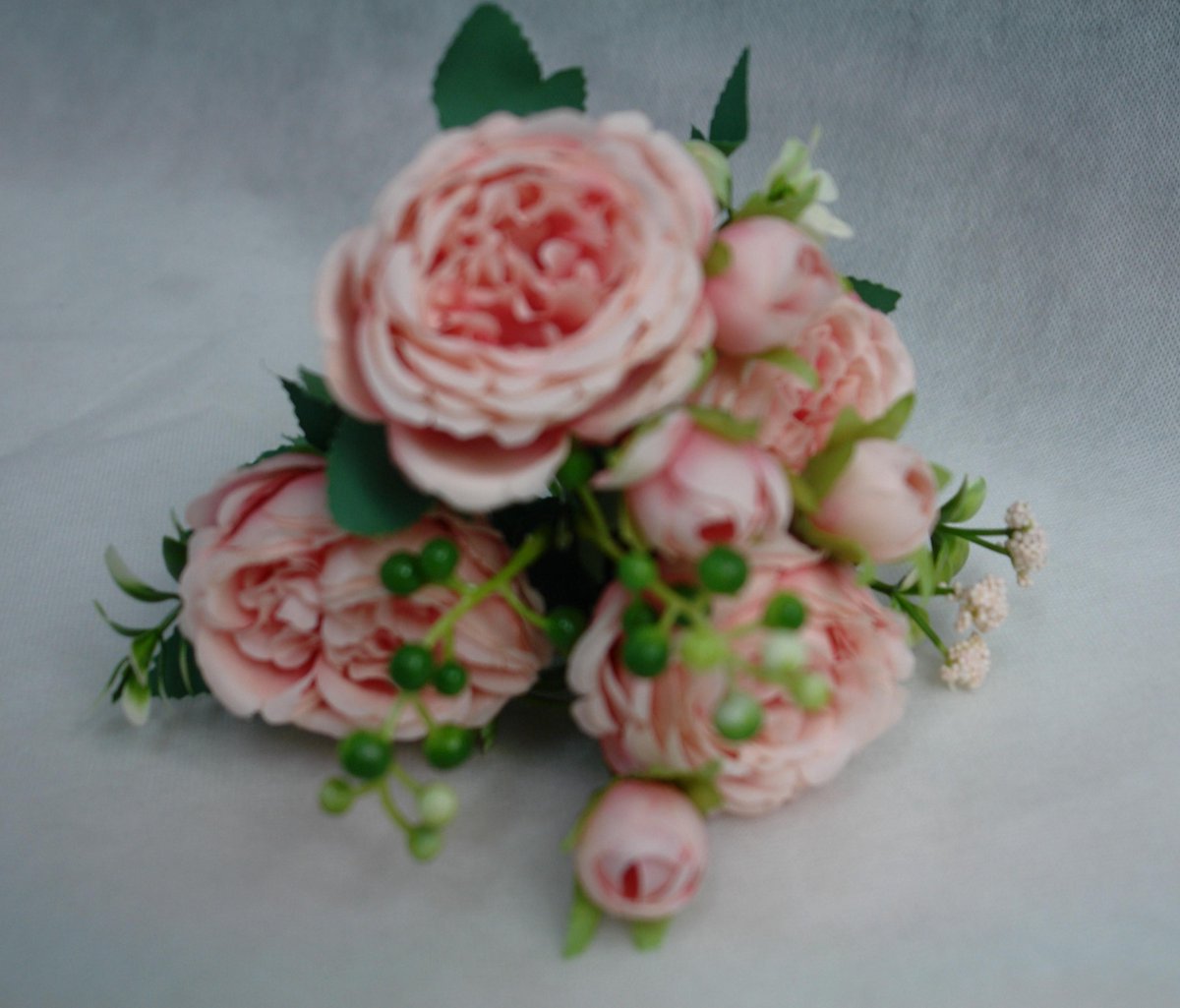 Bosjes Roosjes licht roze 2x | bol