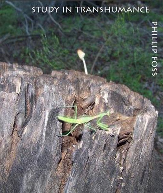 Study in Transhumance, Phillip Foss | 9780935162875 | Boeken | bol