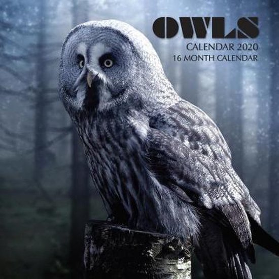 Owls Calendar 2020, Golden Print | 9781691097180 | Boeken | bol