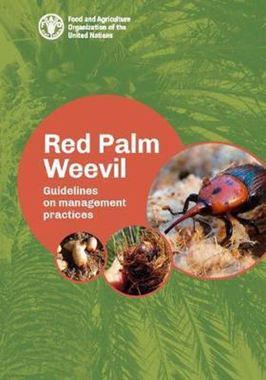 Red Palm Weevil, Food And Agriculture Organization | 9789251321898 ...