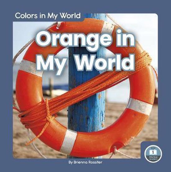 Colors in My World, Brienna Rossiter | 9781646191598 | Boeken | bol.com