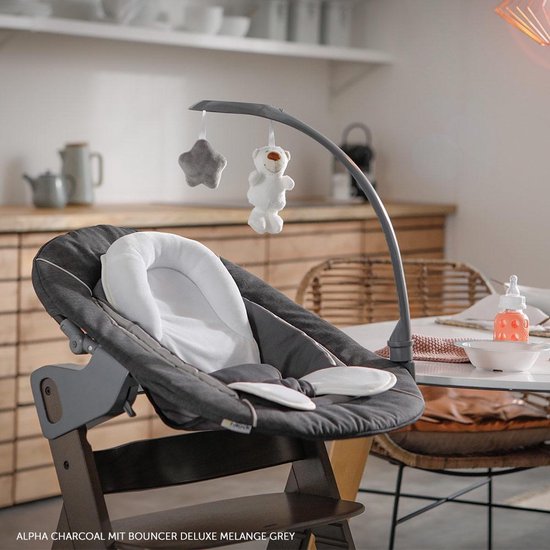 bol.com | Hauck Alpha Plus Kinderstoel - Newborn Set Deluxe - Grijs