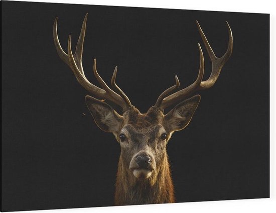 Edelhert op zwarte achtergrond - Foto op Canvas - 150 x 100 cm | bol.com