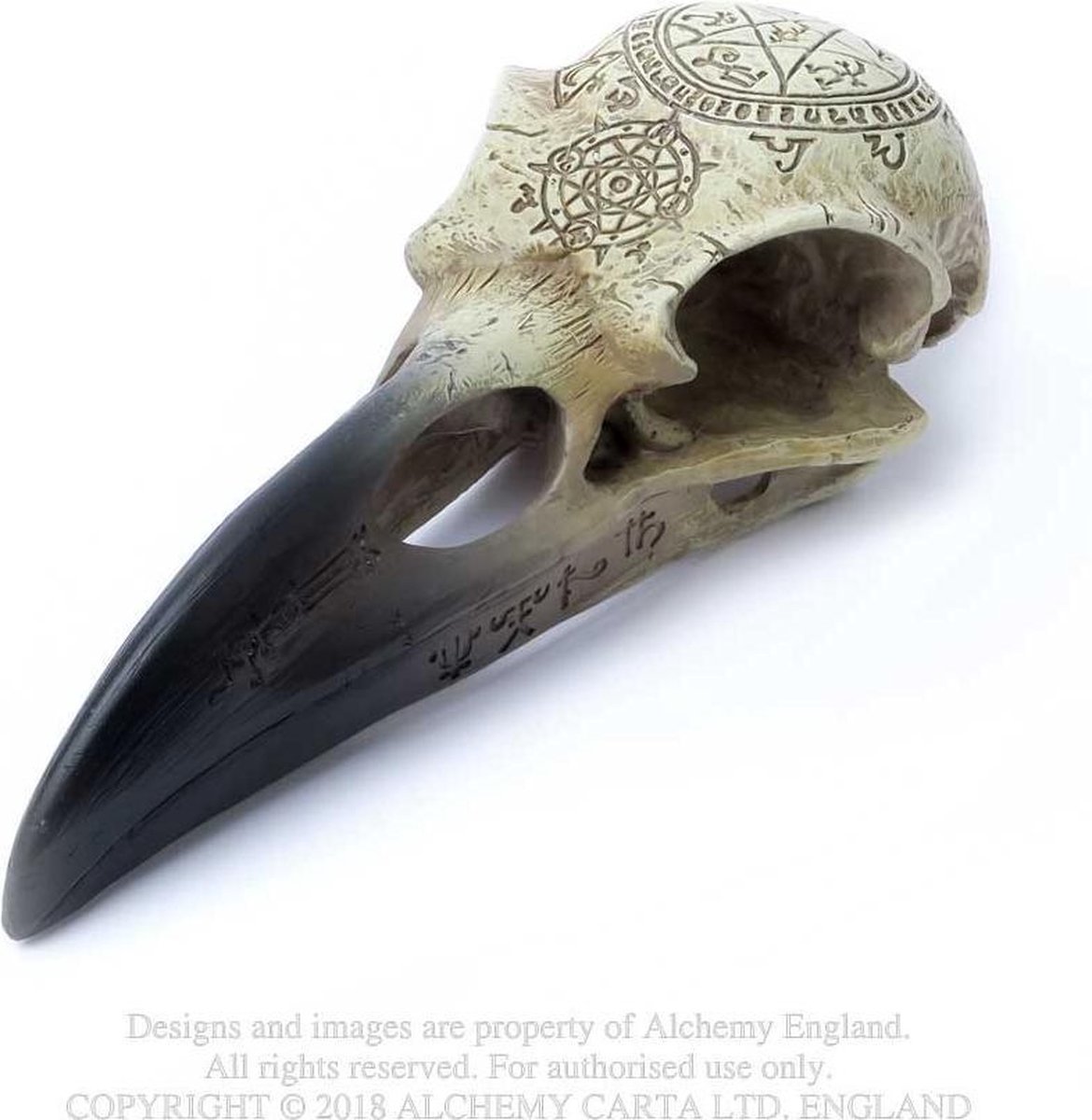 Alchemy Beeld/figuur OMEGA RAVEN SKULL Creme | bol.com
