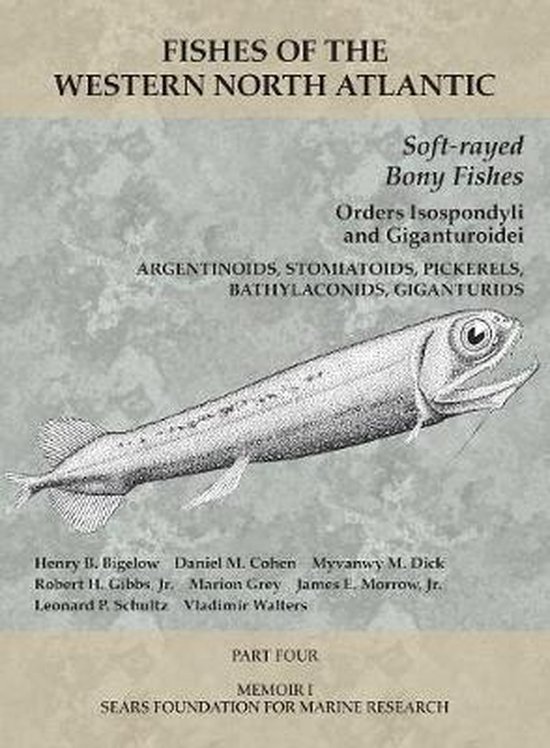 Soft-rayed Bony Fishes: Orders Isospondyli and Giganturoidei ...