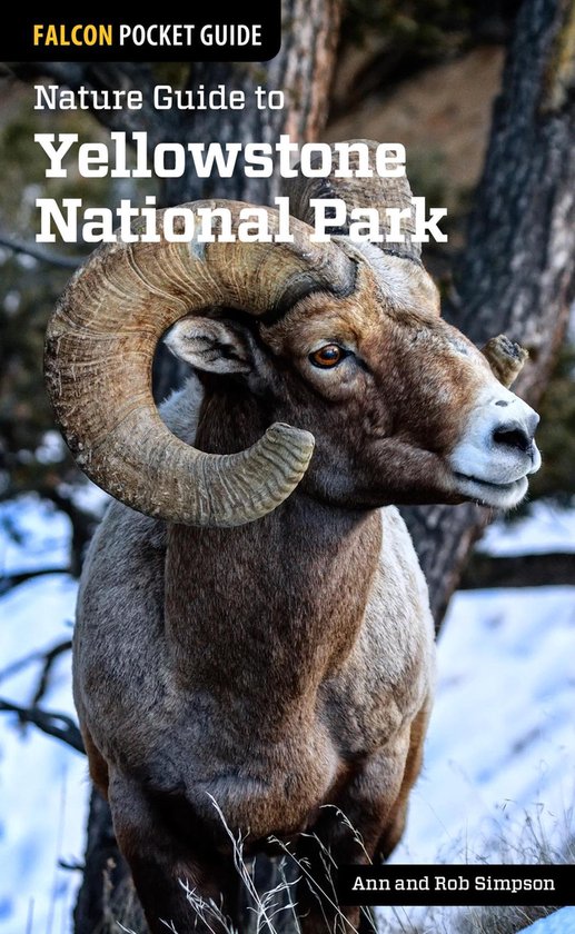 Nature Guides to National Parks Series - Nature Guide to Yellowstone ...