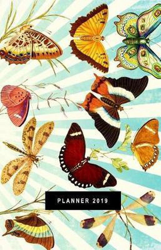 Planner 2019, Rainbow Notebooks | 9781728861432 | Boeken | bol.com