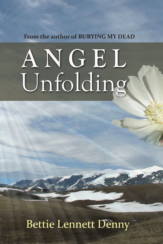 Murphy Gardiner, Reporting - Angel Unfolding (ebook), Bettie Lennett ...