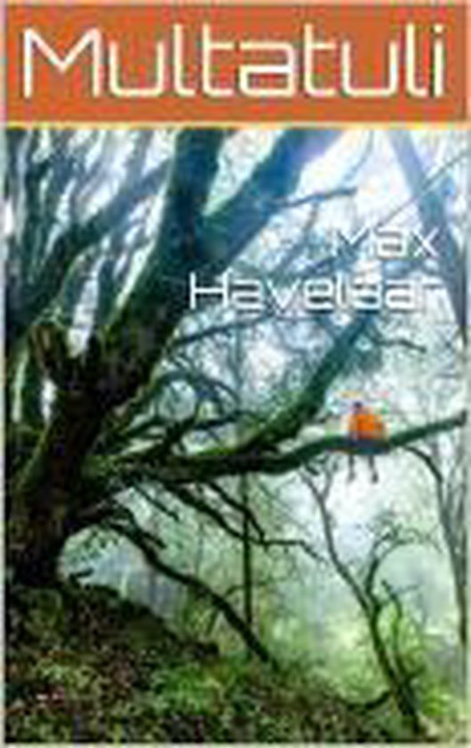 Max Havelaar (ebook), Multatuli | 1230001784732 | Boeken | bol.com