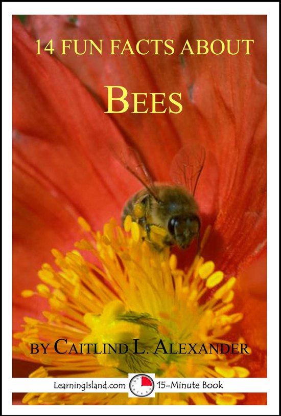 14 Fun Facts - 14 Fun Facts About Bees: A 15-Minute Book (ebook ...