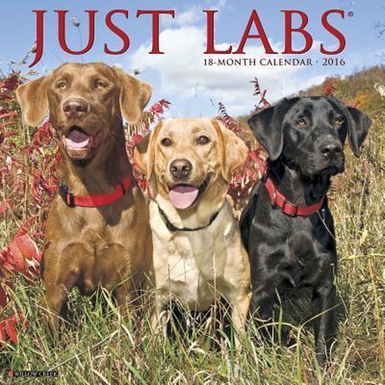 Labs Calendar, Not Available | 9781623437374 | Boeken | bol.com