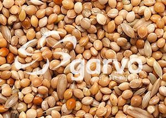 Garvo Parkietenvoer Speciaal 20 kg | bol