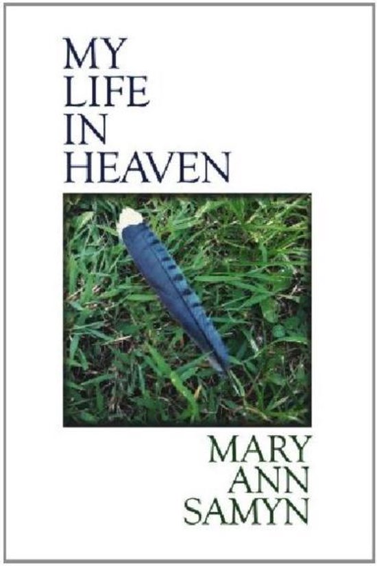My Life in Heaven, Mary Ann Samyn | 9780932440266 | Boeken | bol.com