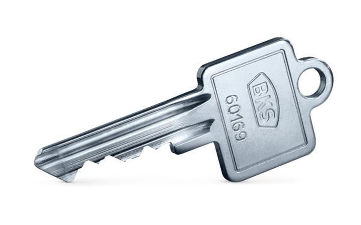 BKS Cilinder 31/31 SKG ** | bol