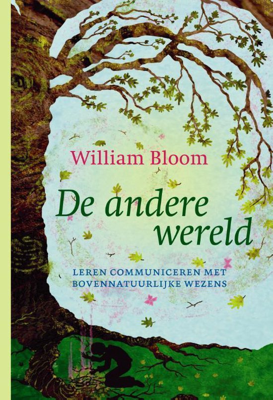 De andere wereld, William Bloom | 9789401300568 | Boeken | bol