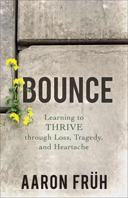 Bounce (ebook), Aaron Fruh | 9781493406982 | Boeken | bol.com