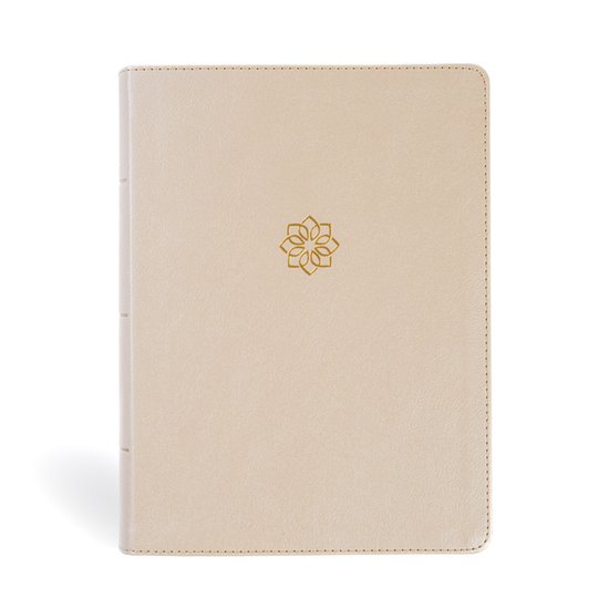 CSB Study Bible, Large Print, Digital Study Edition, Gold Leathertouch ...