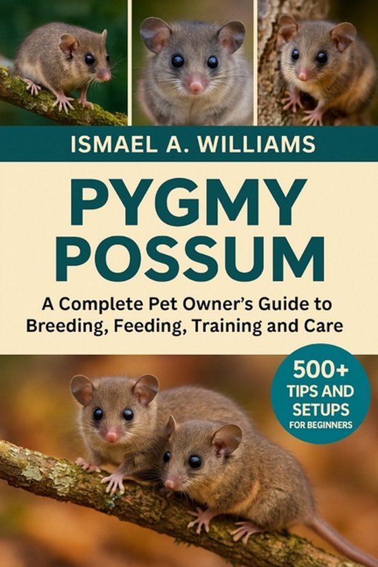 Pygmy Possum: A complete Pet owner's Guide to Breeding, Feeding ...