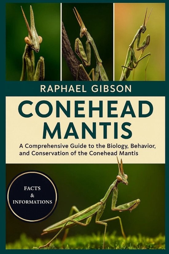 Conehead Mantis: A Comprehensive Guide to the Biology, Behavior, and ...