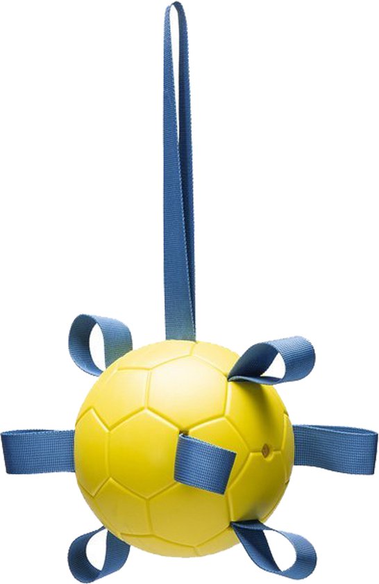 Beeztees Play Ball Power | bol