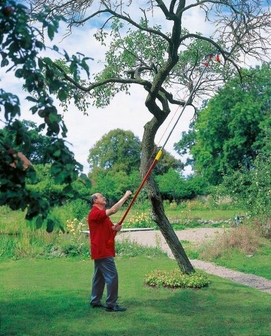 WOLF-Garten Takkenschaar RC-M - Telescopische boomschaar op steel | bol
