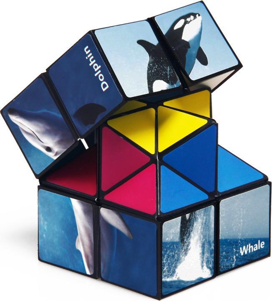 Zint Star cube – Magic cube – 2 in 1– Ocean design – Infinity cube ...