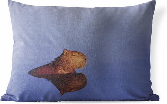 Sierkussen Capibara voor buiten - Een Capibara rust in het water met ...