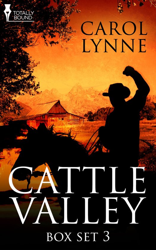 Cattle Valley Box Set 3 (ebook), Carol Lynne | 9781781849071 | Boeken | bol.com