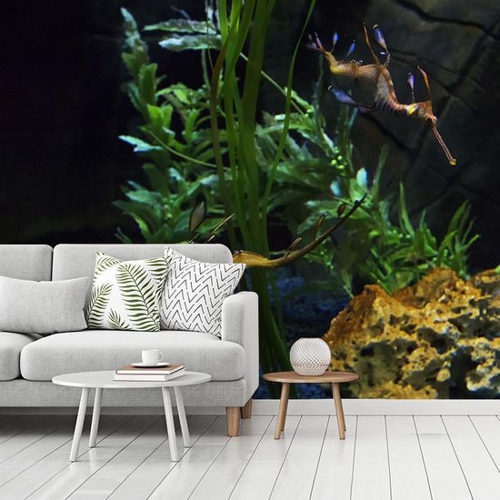 Behang - Fotobehang - Zeedraken zwemmen tussen de waterplanten ...