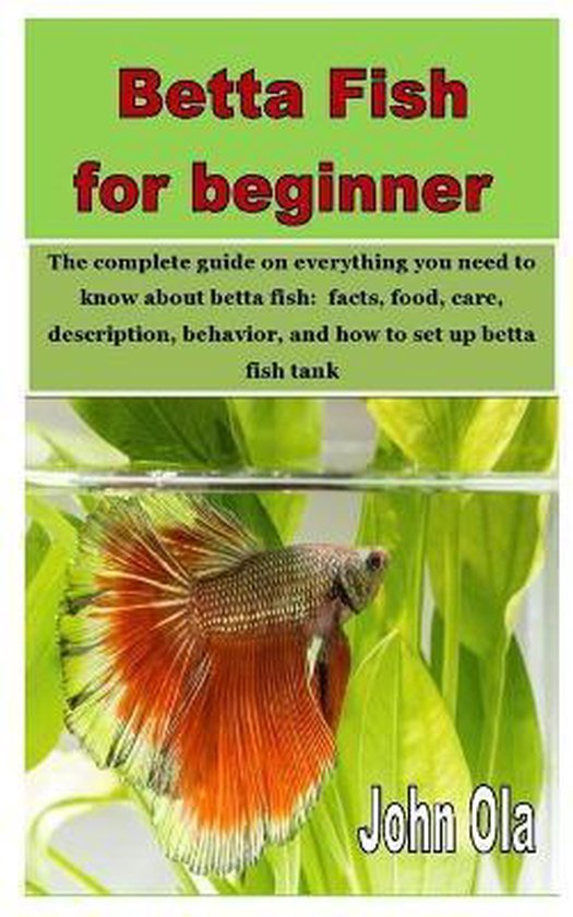 Betta Fish for beginner: The complete guide on everything you need to ...