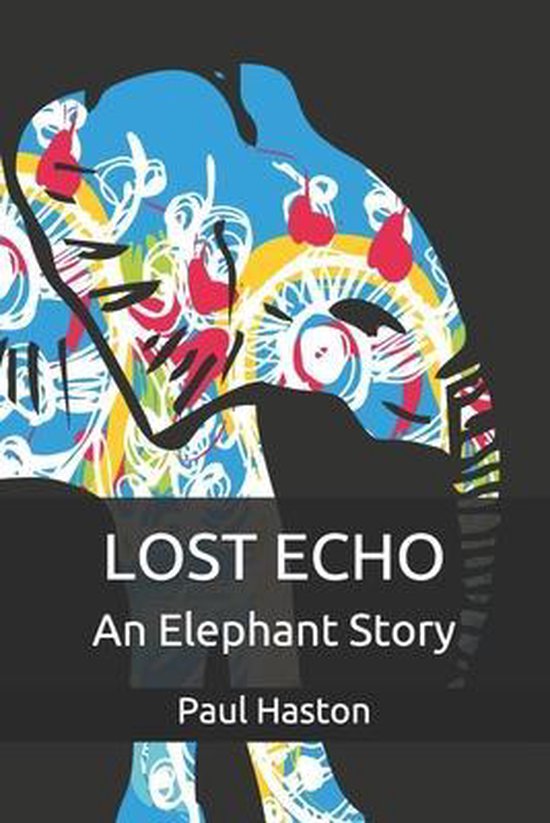 Lost Echo, Paul Haston | 9781523235155 | Boeken | bol