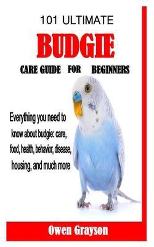 101 Ultimate Budgie Care Guide for Beginners: Everything you need to ...
