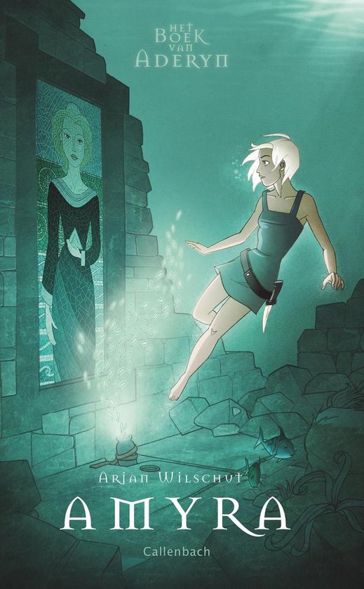 Het boek van Aderyn 2 - Amyra (ebook), Arjan Wilschut | 9789026625053 ...