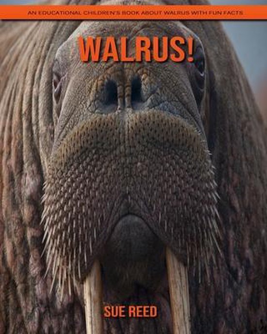 Walrus! An Educational Children's Book about Walrus with Fun Facts, Sue ...