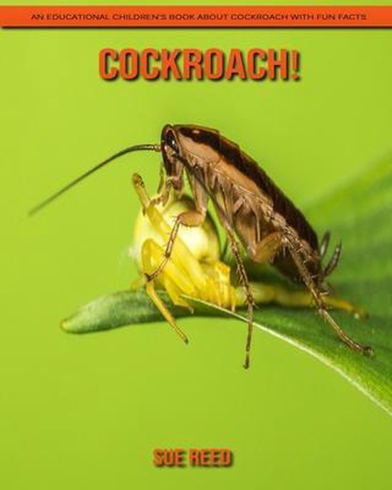 Cockroach! An Educational Children's Book about Cockroach with Fun ...