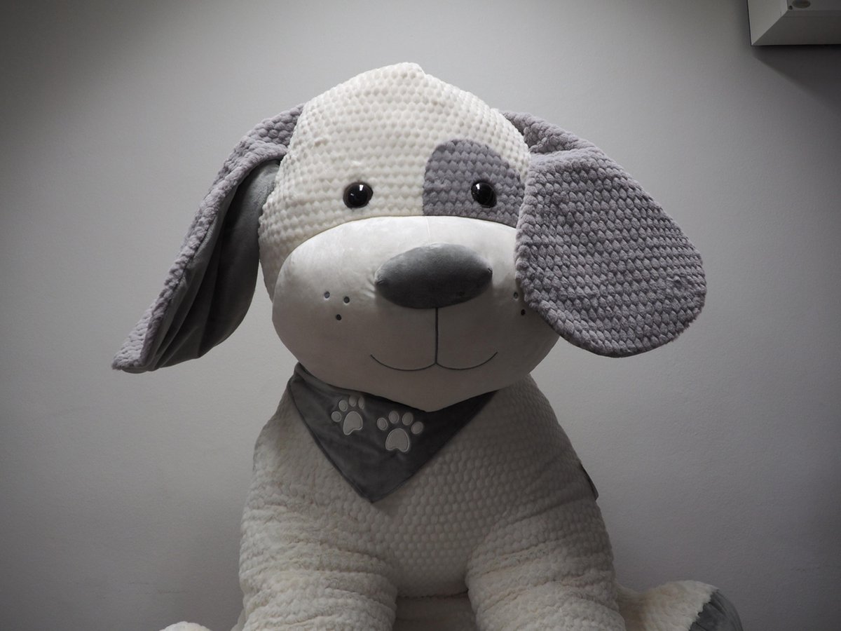 Mega hond | Mega knuffel | Super pluche Hond | Mega pluche | | bol.com