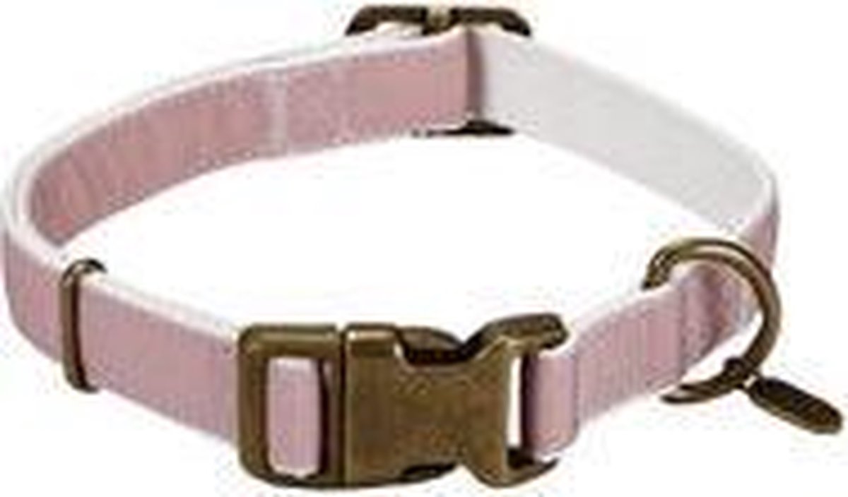 Designed By Lotte Nylon Halsband Virante - Licht Roze - 35/50 cm x 20 ...