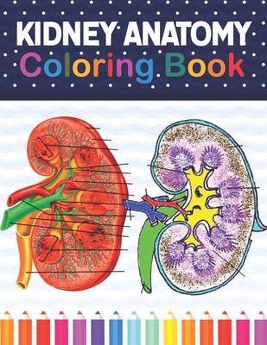 Kidney Anatomy Coloring Book | 9798709514874 | Carniaczell Publication ...